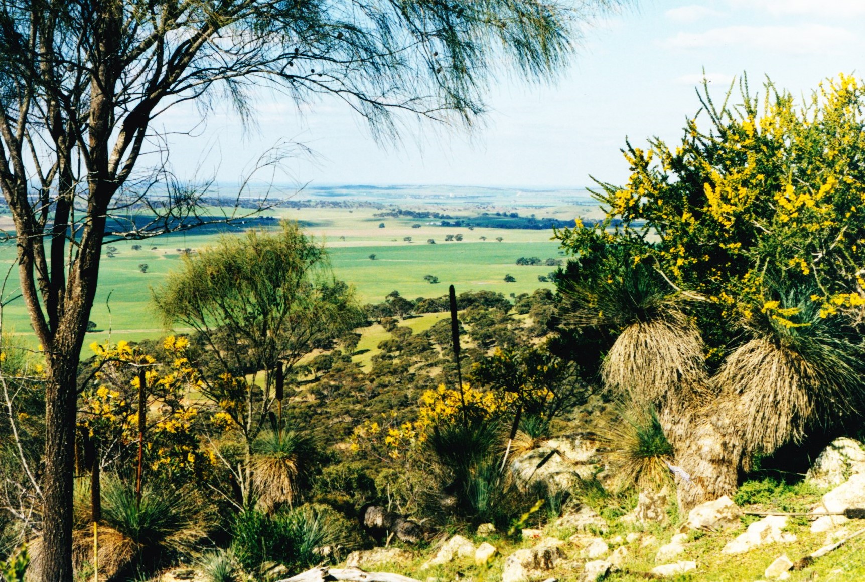 Tothill Ranges – Bushland Conservation Pty Ltd